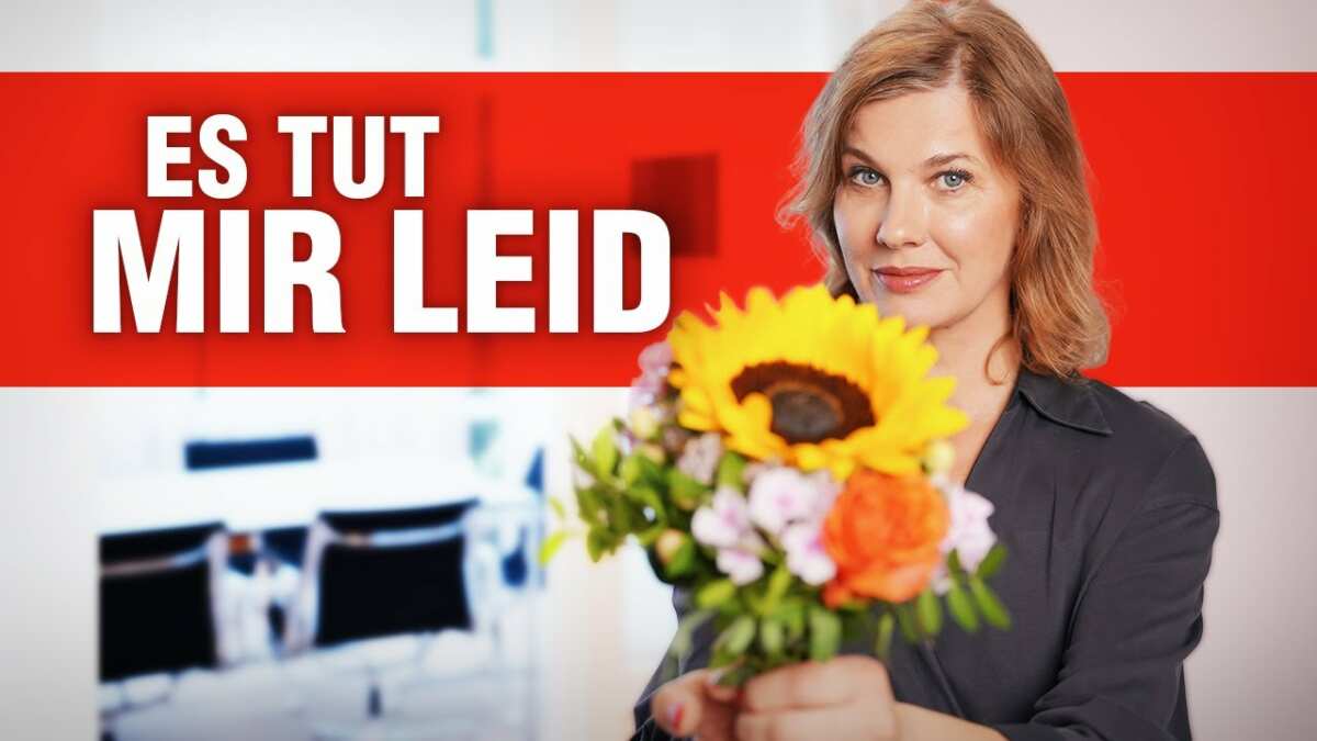 Hat deine Entschuldigung diese 6 Elemente? | So bittest du anständig um ...